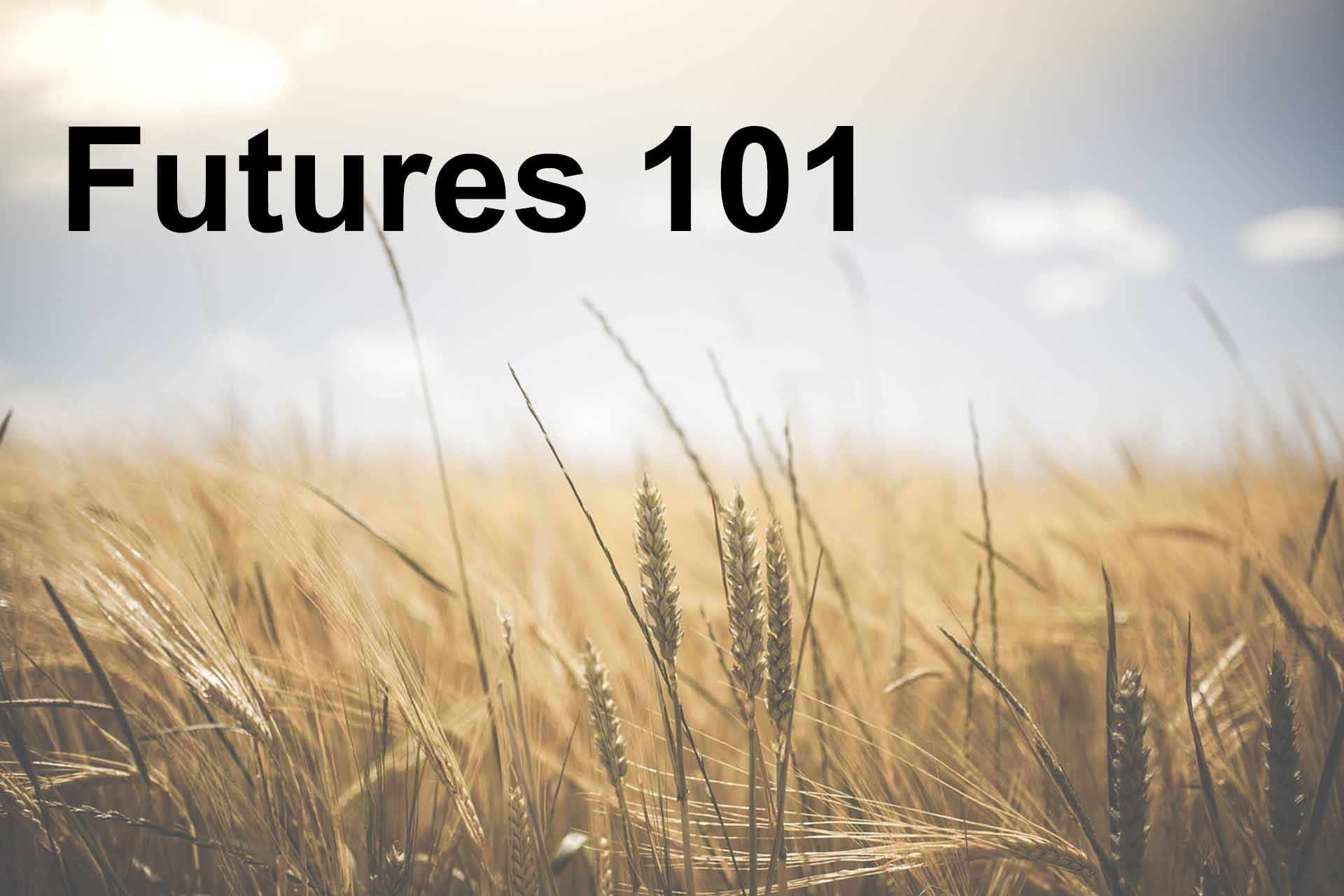 Education Center - World Cup Advisor